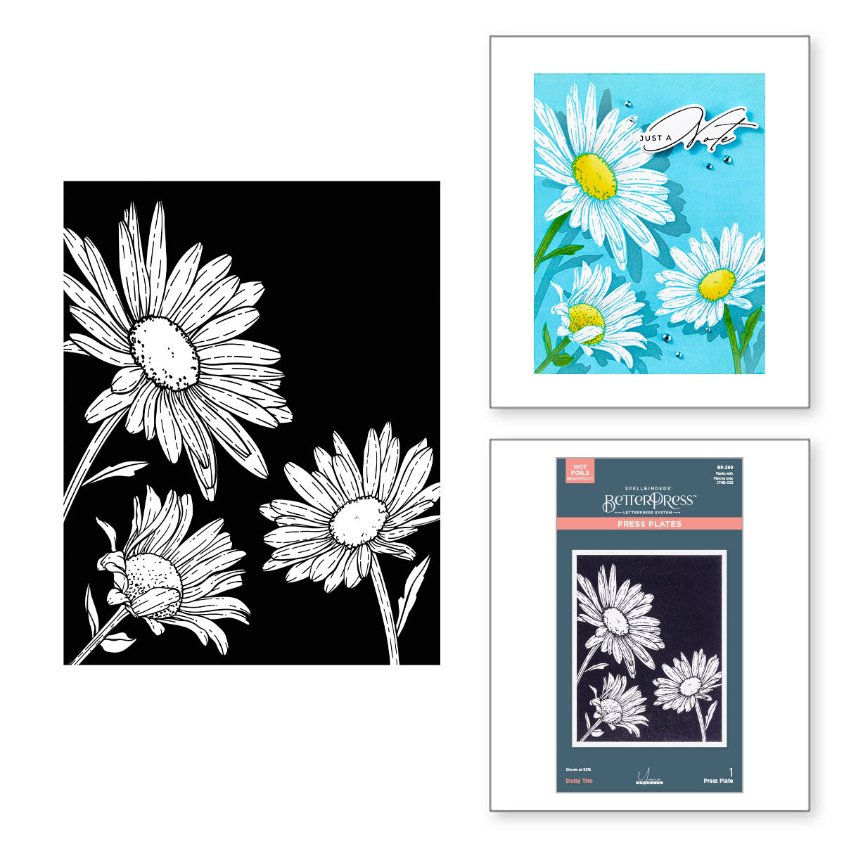 Daisy Trio Press Plates from the Yana's Daisies Collection by Yana ...