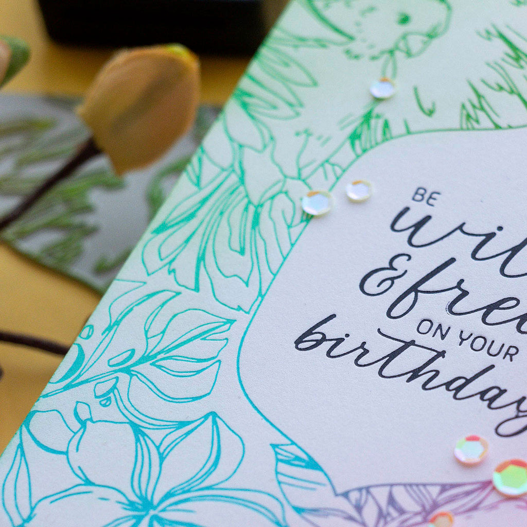 BetterPress Plate of the Month Membership – Spellbinders UK