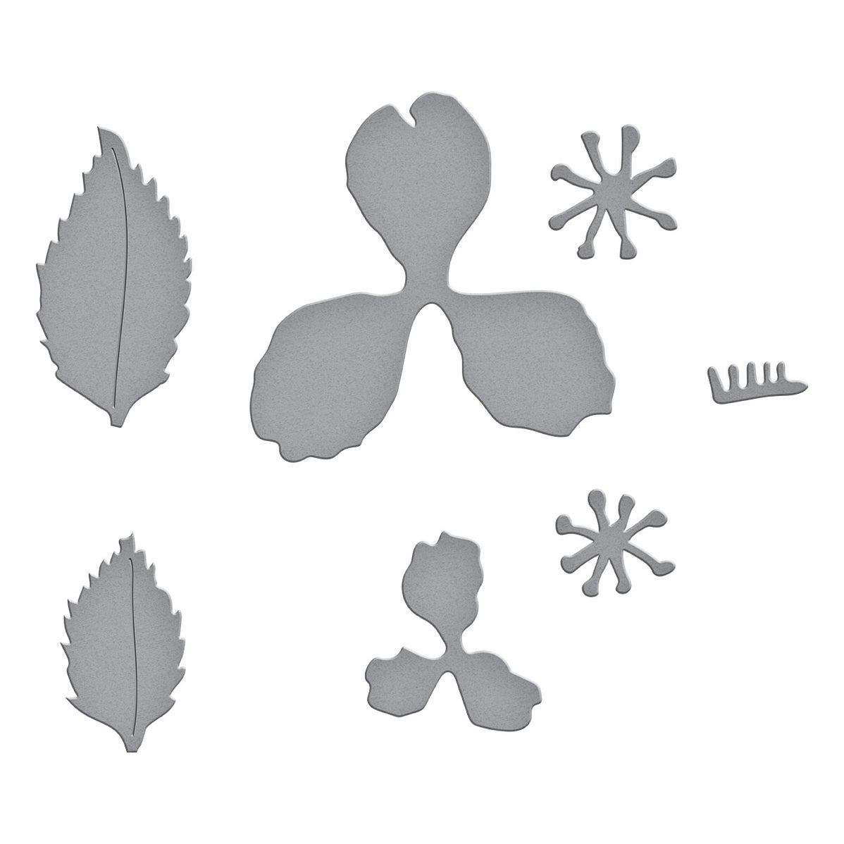 Landscape Rose Etched Dies from the Nature's Botanical Garden ...