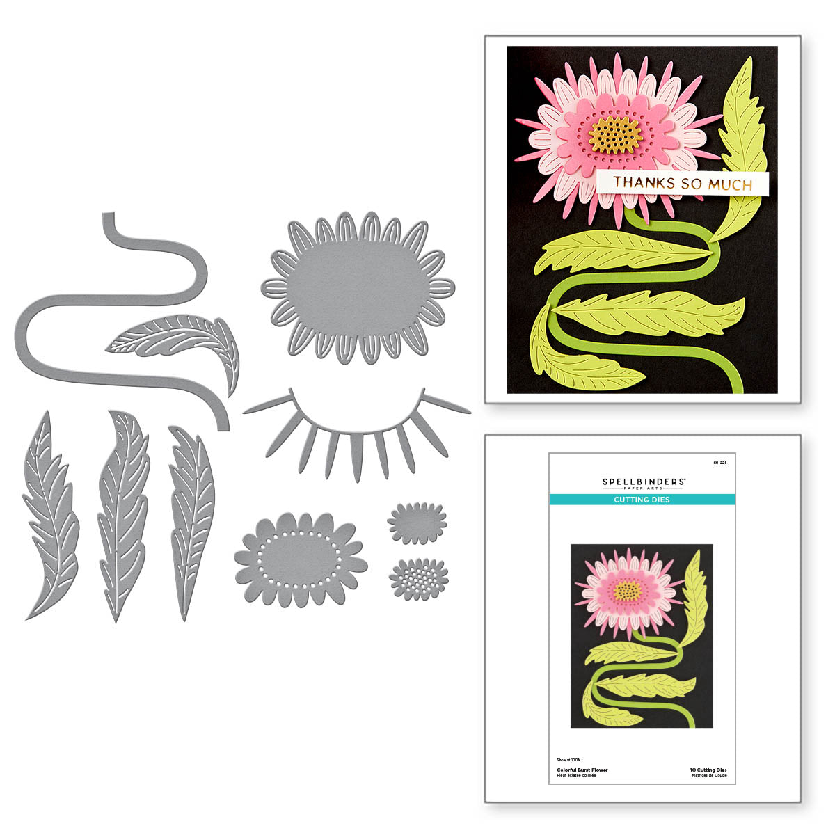 Spellbinders Exclusive: Colorful Burst Flower Etched Dies – Spellbinders UK